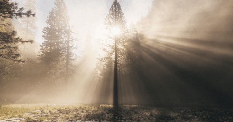 11 Ways to Stay Protected against Harmful Light and Rays - Good life begin