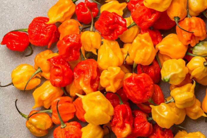 20 Spiciest Chilies In The World - Good life begin